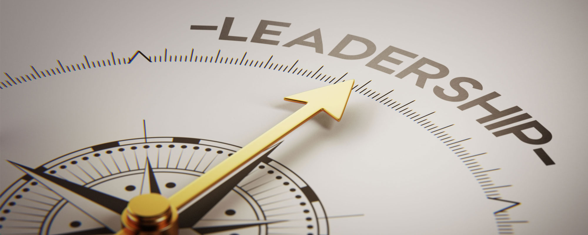 How to Spot Leadership vs. Management | Leadership Toolbox